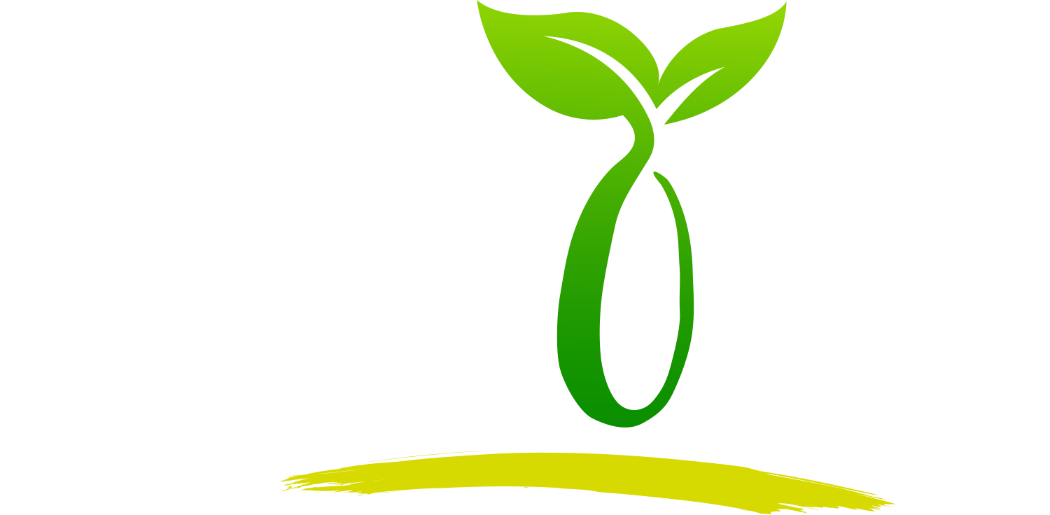Tropical Plants, Pots, Soils and Accessories | Sprout Calgary